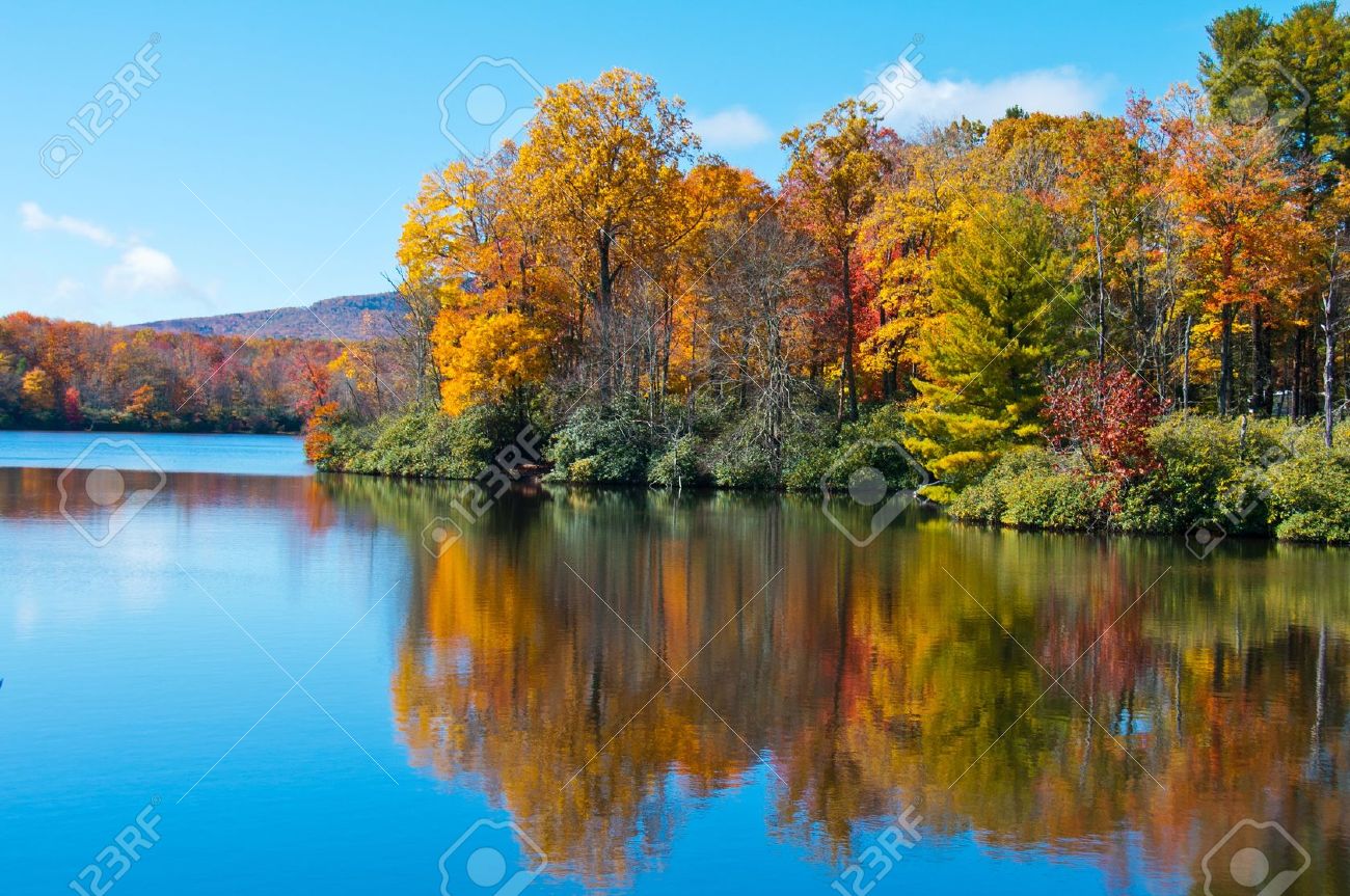 Local Blue Ridge Area Guide | Above the Rest Cabins Blue Ridge Mountain ...