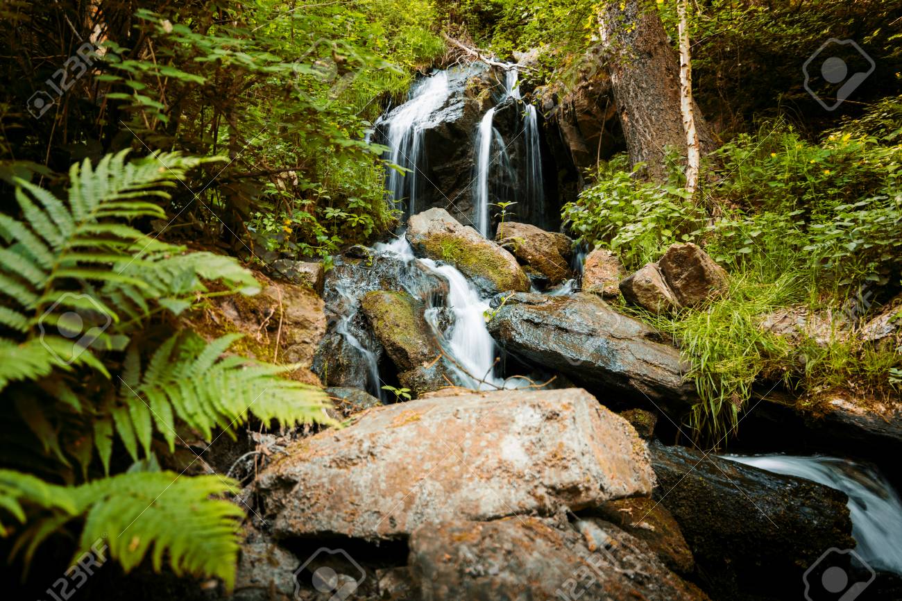 Local Blue Ridge Area Guide | Above the Rest Cabins Blue Ridge Mountain ...